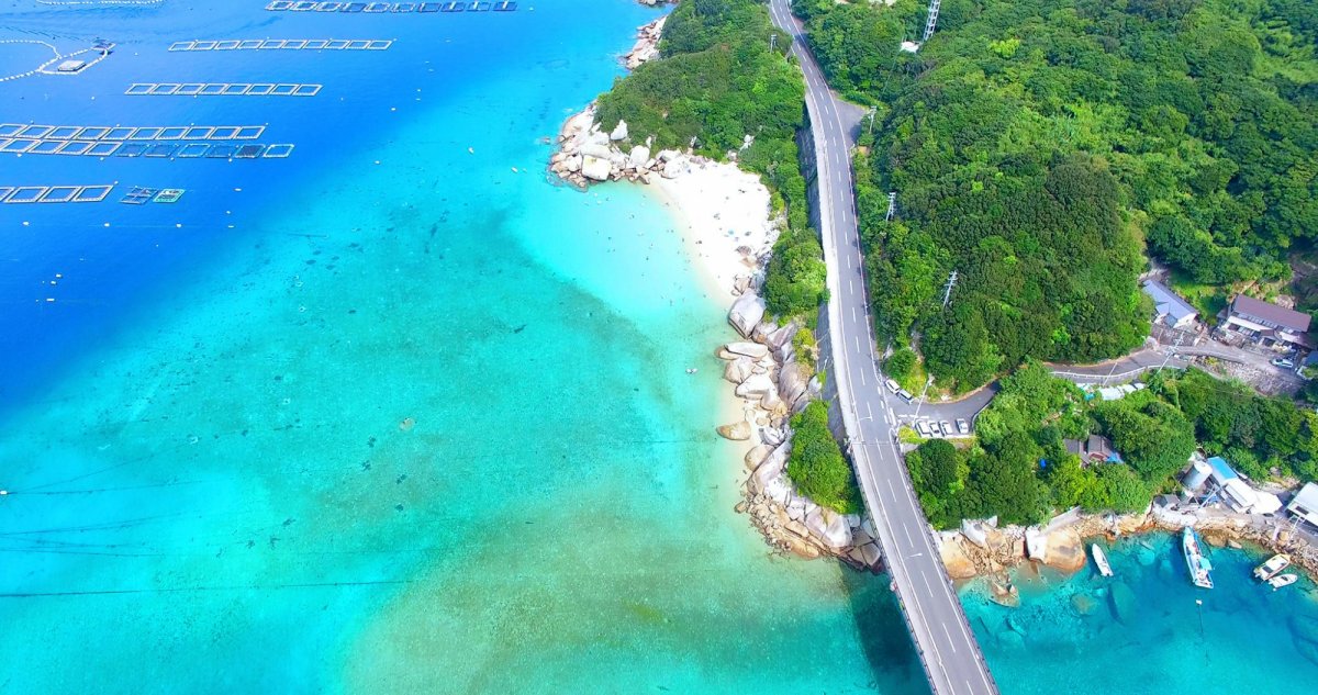 Kashiwa Island｜What to See & Do｜VISIT KOCHI JAPAN