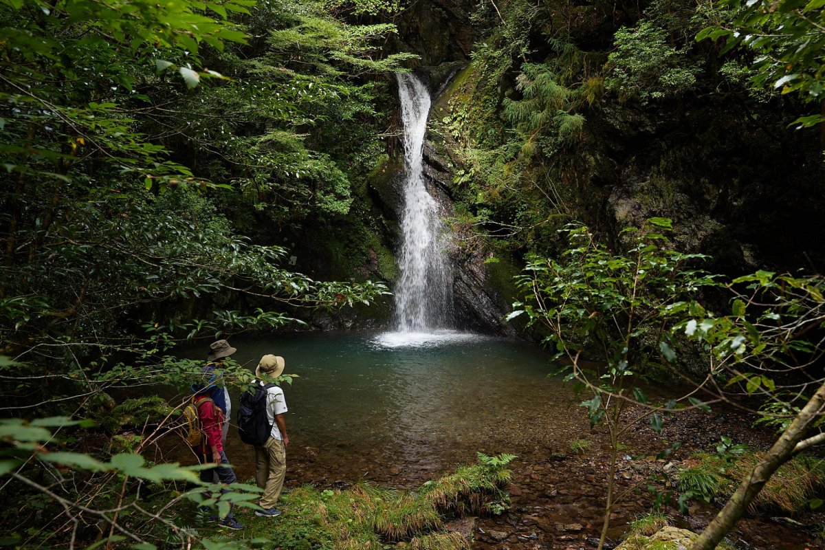 The Source of the Shimanto River｜Activities｜VISIT KOCHI JAPAN
