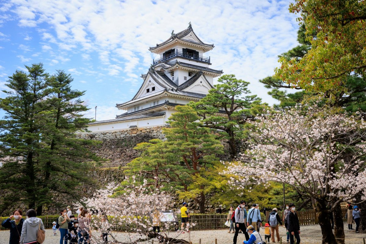 Beginners Guide to Kochi｜Highlights｜VISIT KOCHI JAPAN