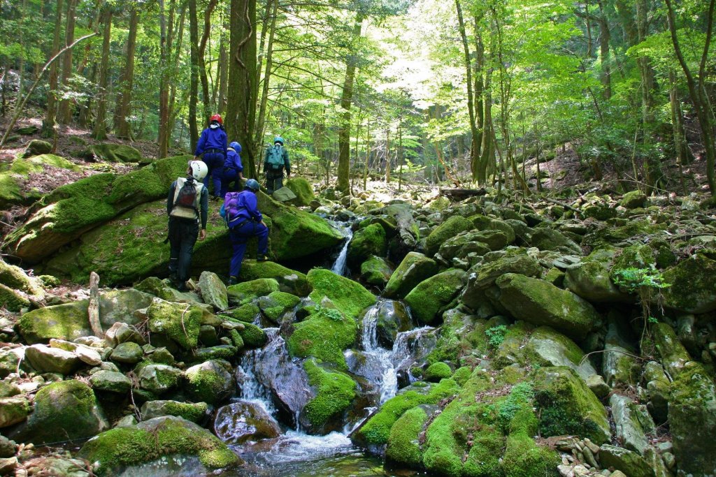 Shimanto River Valley: Japan's Best Kept Secret｜Highlights｜VISIT KOCHI ...